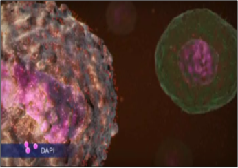 CELLSEARCH® | About CELLSEARCH® | How the CELLSEARCH® CTC Test Works?